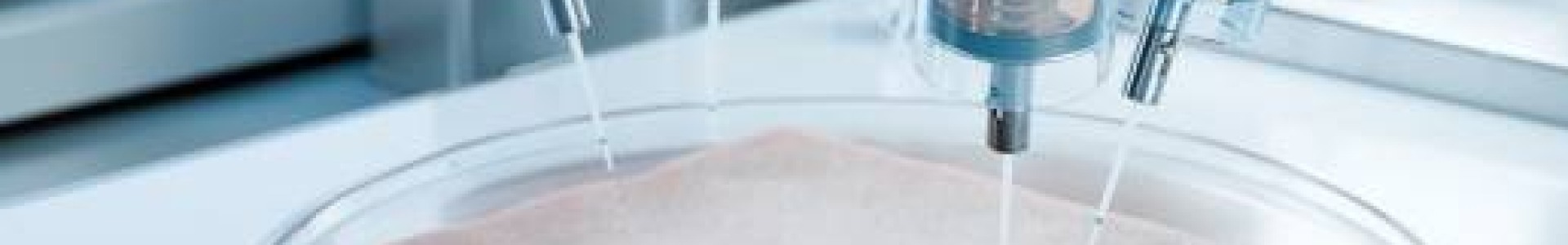 Leadvent Group| upstream bioprocessing, protein yield, cell line ...