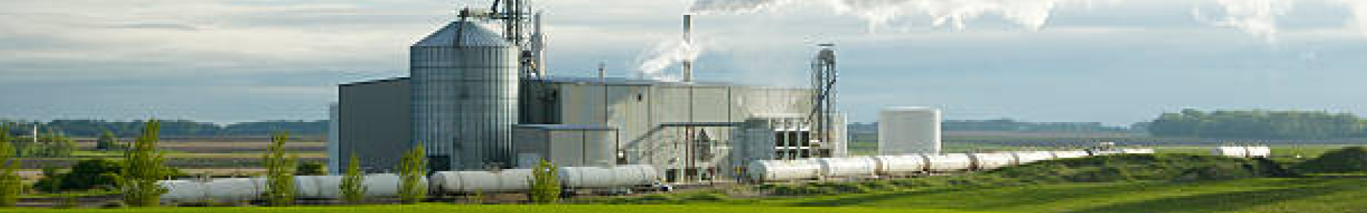 Leadvent Group| Sustainable Feedstocks, Biofuel Crops, Biofuel ...