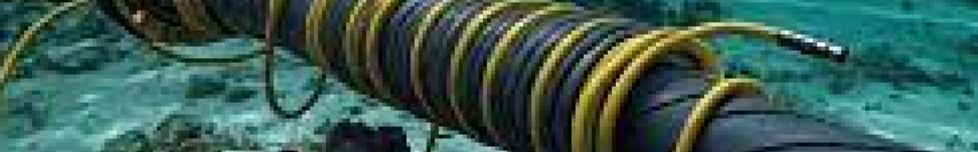 Leadvent Group| Cable protection systems, marine conditions, subsea ...