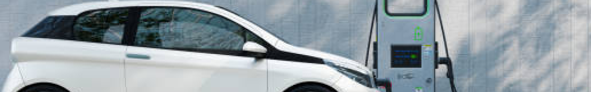 Leadvent Group| Public-Private Partnerships, EV infrastructure ...