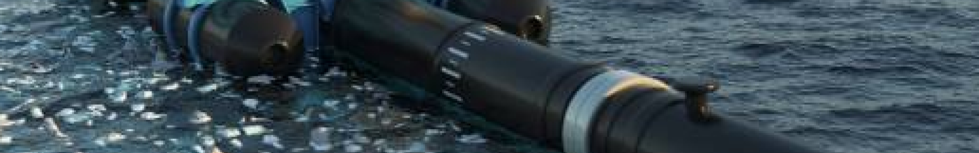 Leadvent Group| Environmental Impact Assessment, Subsea cables ...