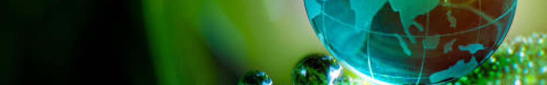 Leadvent Group| Bio-based Feedstocks, Biopolymer Production, Circular ...