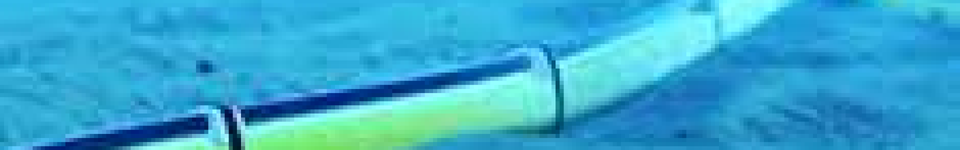 Leadvent Group| Subsea Cables, Marine Ecology, Benthic Habitat, Seabed ...