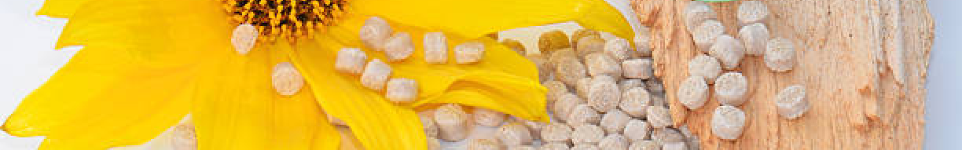 Leadvent Group| Circular Economy, Sustainable Packaging, Mono-materials ...