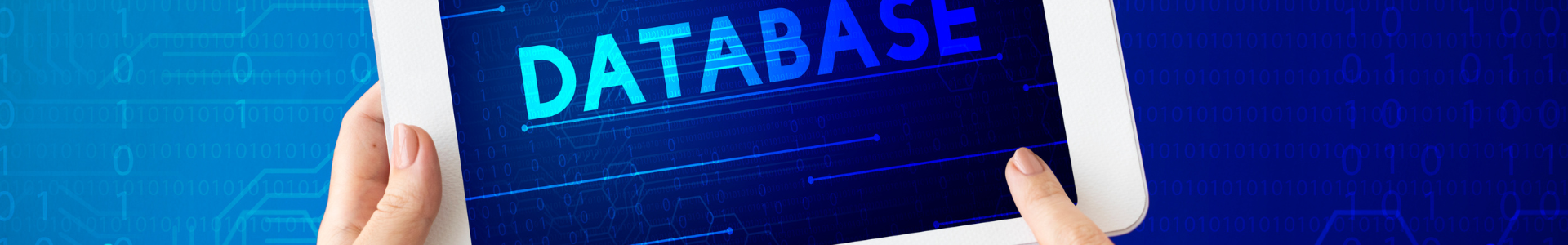 Leadvent Group| Data Centres and Infrastructure: Powering the Digital ...