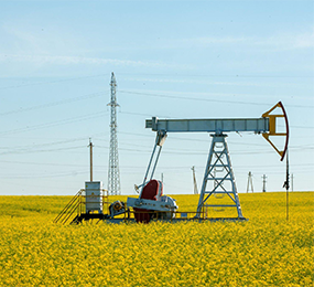 Leadvent Group| oil and gas