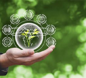 Leadvent Group| Advanced Bioenergy, Sustainable Fuels, Biofuel ...