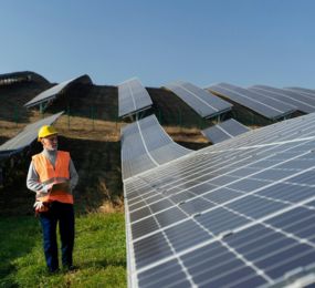 Leadvent Group| Exploring the Microclimate Effects of AgriVoltaics on Crops