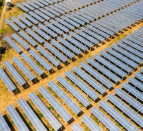 Leadvent Group| Sun, Soil, and Sustainability: Unlocking AgriVoltaics ...