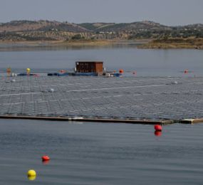 Leadvent Group| Elevating Efficiency: The Industrialization of the ...