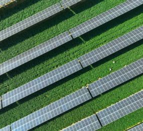 Leadvent Group| Overcoming Grid Integration Challenges in AgriVoltaics