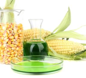 Leadvent Group| Exploring Emerging Technologies: Advanced Biofuel ...