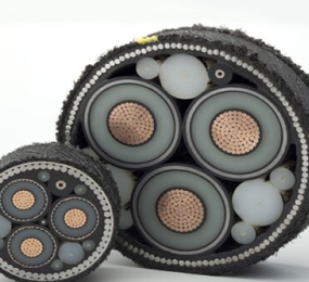 Leadvent Group| Submarine Cable Projects, Permitting, Environmental ...