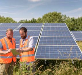 Leadvent Group| The Crucial Role of R&D in AgriVoltaics Advancement