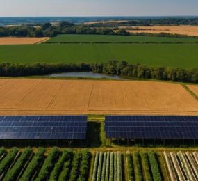 Leadvent Group| How AgriVoltaics Ushers in a Sustainable Future for ...