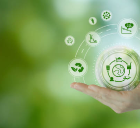 Leadvent Group| E-fuels, Economic Viability, Market Potential ...