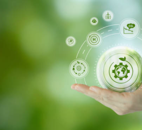 Leadvent Group| e-Fuels, Policy, Regulatory Frameworks, Sustainable ...