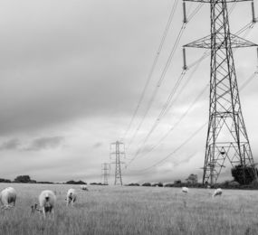 Leadvent Group| Exploring the Intersection of Renewable Energy and ...