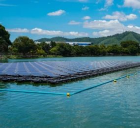 Leadvent Group| Balancing Energy Production and Biodiversity: Floating ...