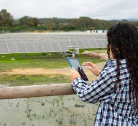 Leadvent Group| Unveiling AgriVoltaics: A Beginner's Guide to ...