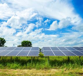 Leadvent Group| AgriVoltaics vs. Traditional Solar Farms