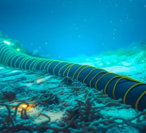 Leadvent Group| submarine power cable, environmental impact, marine ...