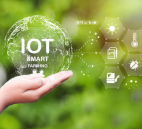 Leadvent Group| e-fuels, maritime transportation, carbon-neutral ...