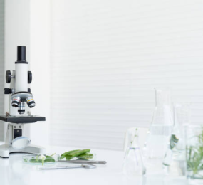 Leadvent Group| Bioprocesses, scaling up, bioreactors, sterility ...