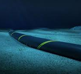 Leadvent Group| submarine power cable, environmental impact assessment ...