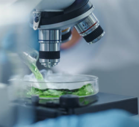 Leadvent Group| biologics manufacturing, regulatory compliance, Good ...