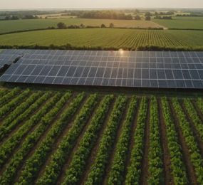 Leadvent Group| Building Public Acceptance for AgriVoltaics