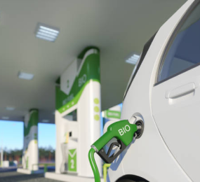 Leadvent Group| advanced biofuels, sustainable energy, challenges ...
