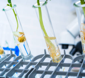 Leadvent Group| artificial intelligence, machine learning, bioprocess optimization, predictive ...