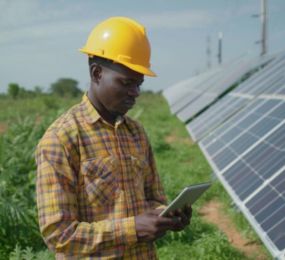 Leadvent Group| Agrivoltaic System Design and Optimization: Enhancing ...