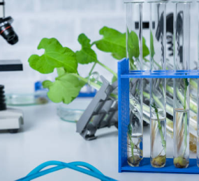 Leadvent Group| monoclonal antibodies (mAbs), purification ...