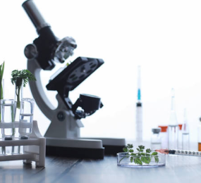 Leadvent Group| CRISPR-Cas9, gene editing, cell line development ...