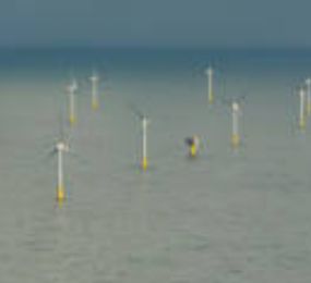 Leadvent Group| Pioneering the Future: Case Studies of Successful ...