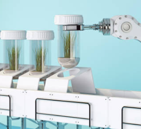 Leadvent Group| cell line engineering, protein expression ...