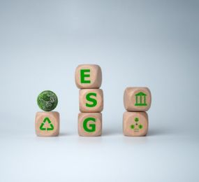Leadvent Group| ESG and Long-Term Value: A Strategic Imperative for ...