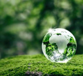 Leadvent Group| Sustainable Aviation Fuel (SAF), aircraft engine ...