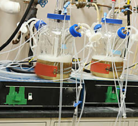 Leadvent Group| Bioreactors, bioprocessing, biopharmaceuticals, cell ...