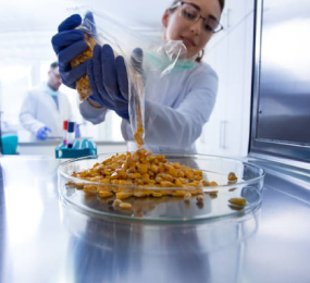Leadvent Group| single-use technologies (SUTs), biologics manufacturing ...