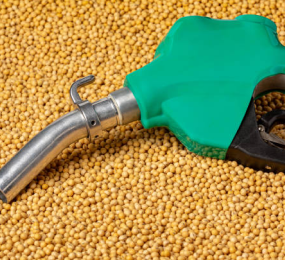 Leadvent Group| advanced biofuels, decarbonization, heavy transport ...