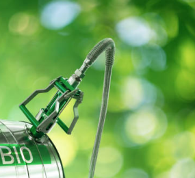 Leadvent Group| biofuels, biochemical conversion, thermochemical ...