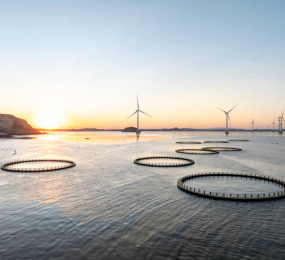 Leadvent Group| offshore substations, energy hubs, energy storage ...