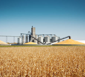 Leadvent Group| Biofuels, heavy-duty transport, decarbonization, road ...