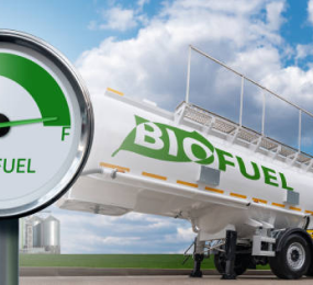 Leadvent Group| Public-Private Partnerships, PPP, advanced biofuels ...