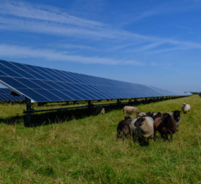 Leadvent Group| Floating Solar Cables and Electrical Systems: Powering ...